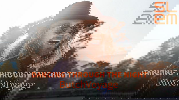 SLEM RECORDS VERÖFFENTLICHT NEUEN SONG MIT BUTCHVOYAGE | sunshine live